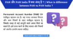 What is PAN India? | Pan India Meaning With Example In Hindi - Shark ...